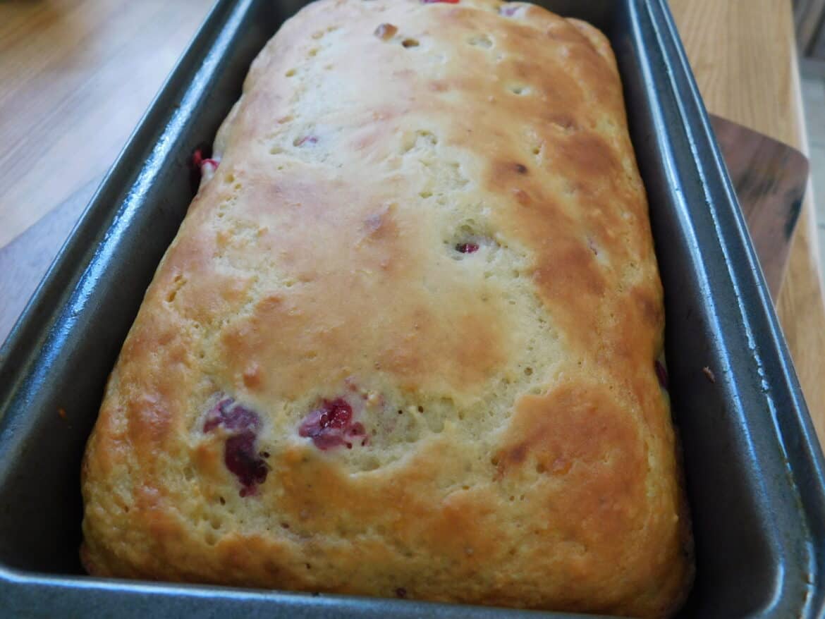 Lemon Cranberry Loaf - Drizzle Me Skinny!