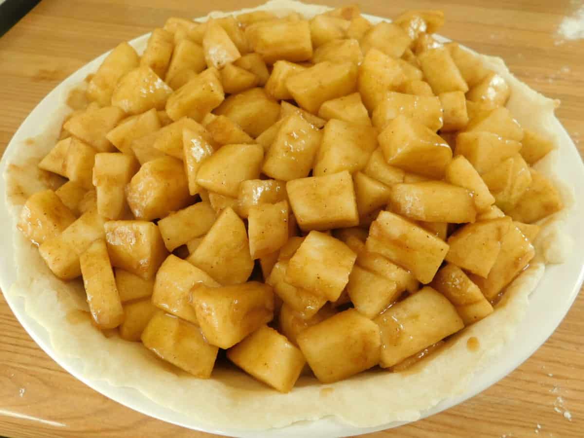 Two Ingredient Pie Crust Apple Pie - Drizzle Me Skinny!