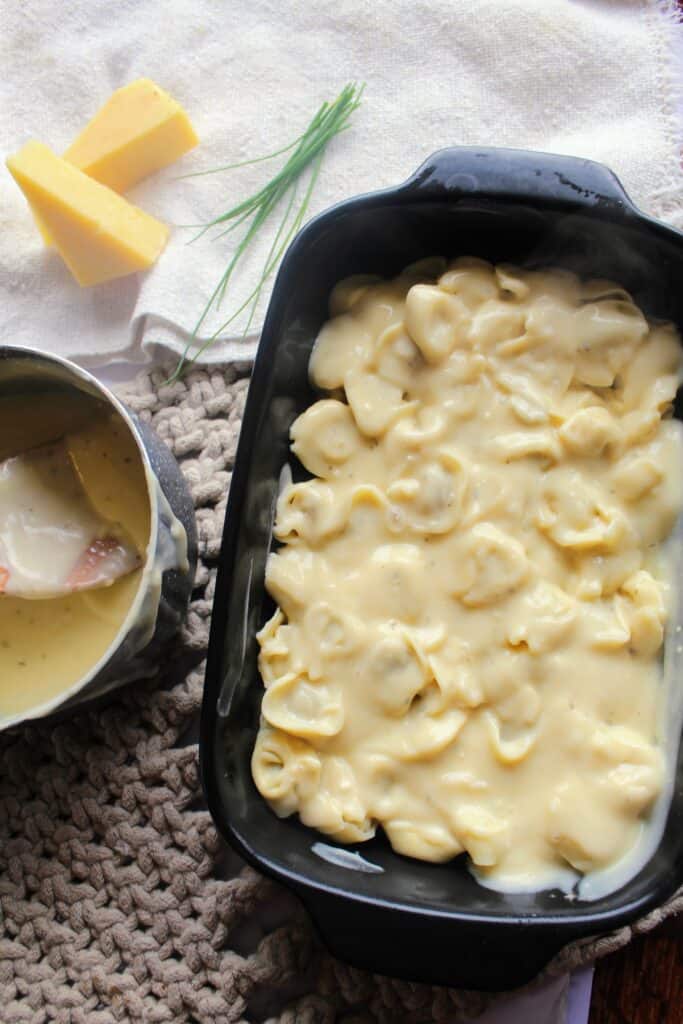 Asiago Tortelloni Alfredo with Grilled Chicken (Copycat) - Drizzle Me ...