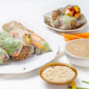 Weight Watchers Vietnamese Spring Rolls - Drizzle Me Skinny!